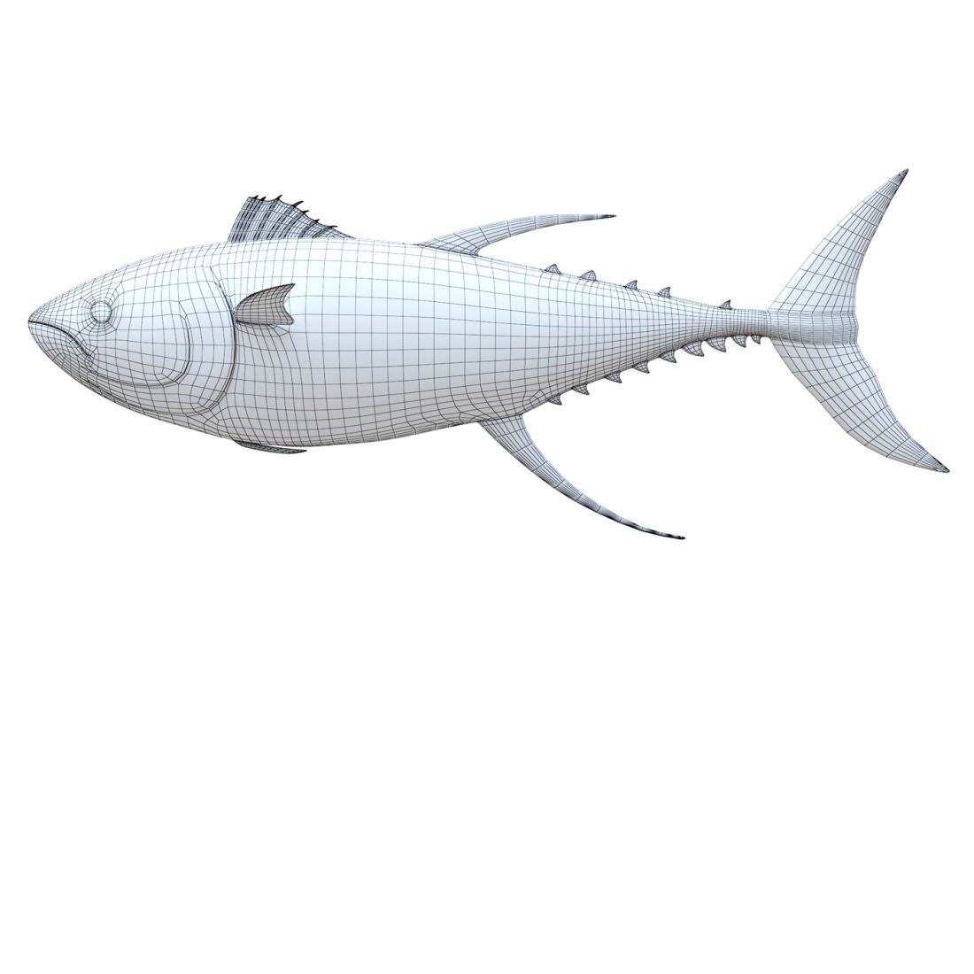 Tuna Fish - 3D Model for VRay