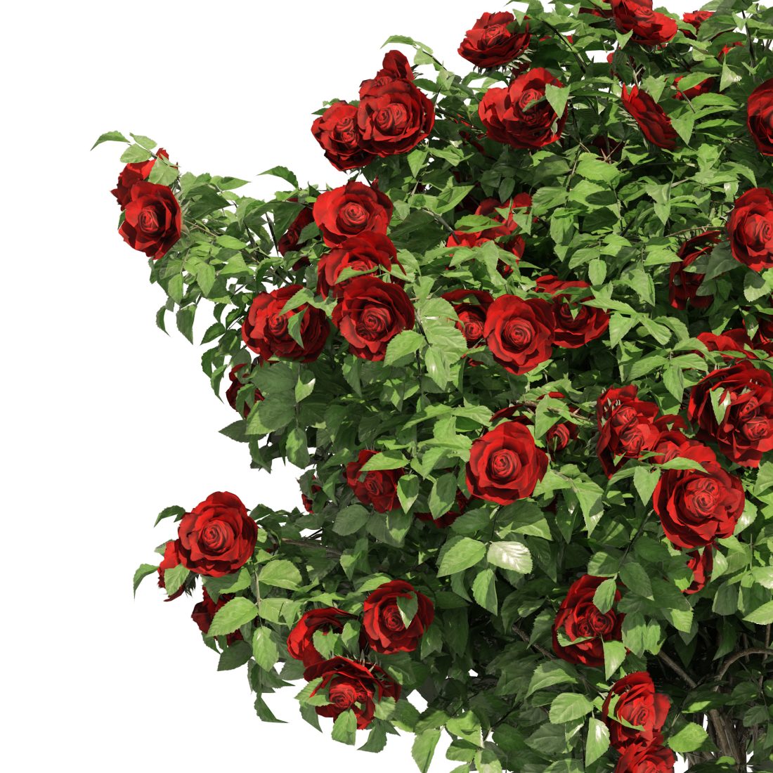 3 Red Rose Flower Bush Low Poly - 3D Model for VRay, Corona, VRay