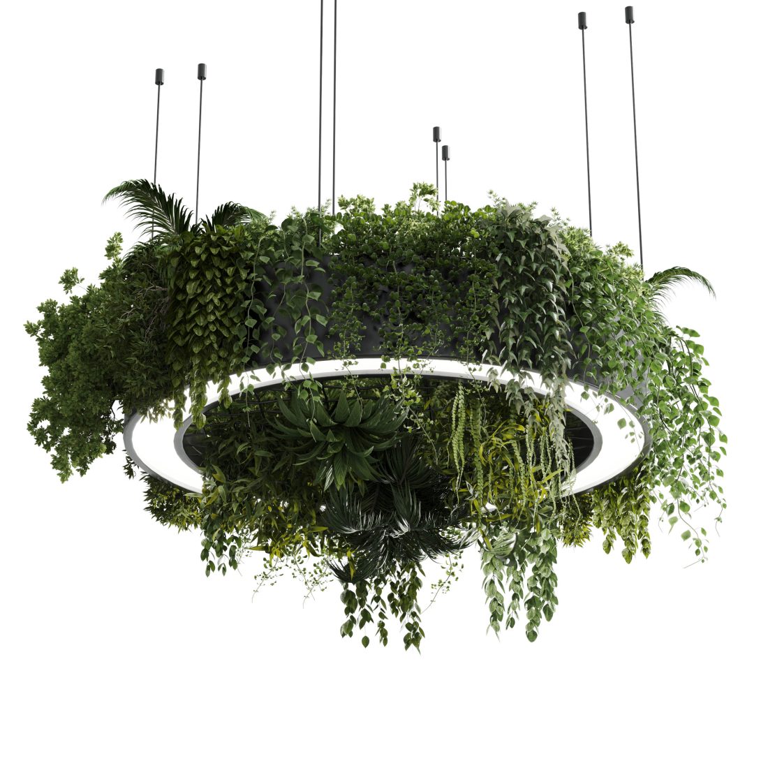 Circle Pot Light Pendant Plant Light Hanging 13 3D Model for Corona ...