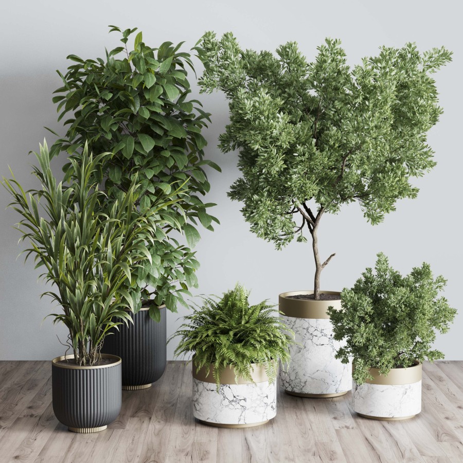 Indoor Plant Set 363 Stone Vase Plant Tree Shrub 3D Model for VRay ...