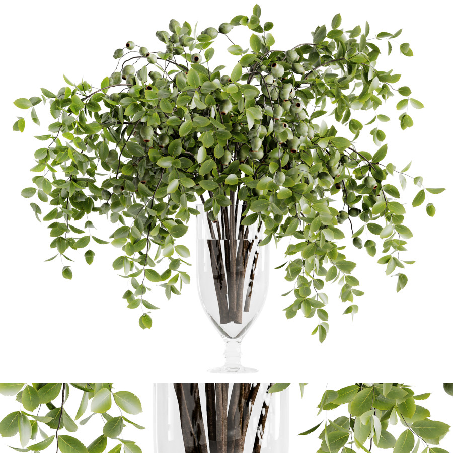 Tree Branch Bouquet Inserted Into A Glass 3D Model for VRay, Corona ...