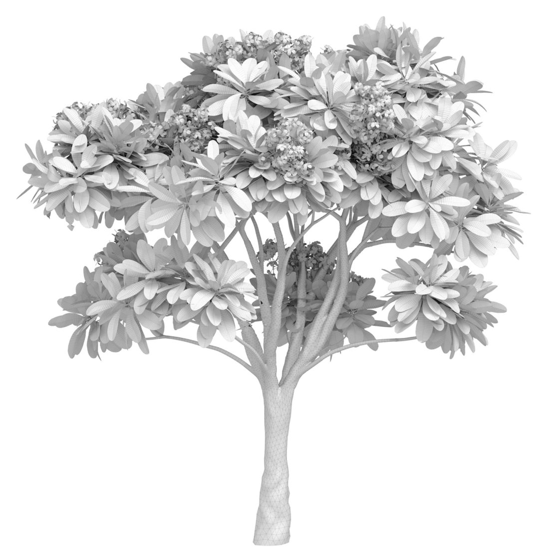 Outdoor Decorative Flowering Garden Plant Tree - 3D Model for Corona, VRay