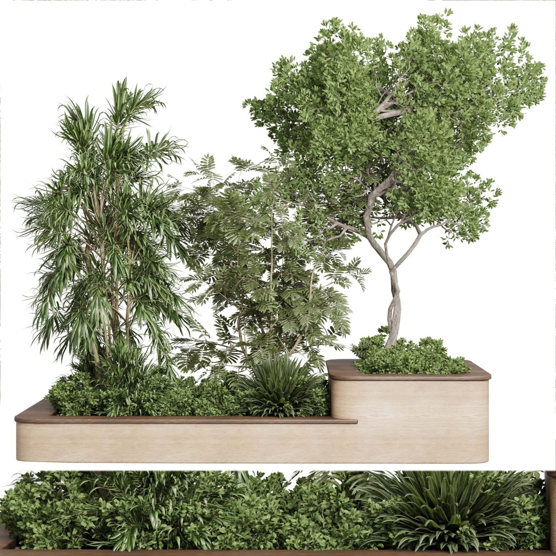 Garden Plants Box - Indoor Plants Set 253 - 3D Model for VRay, Corona