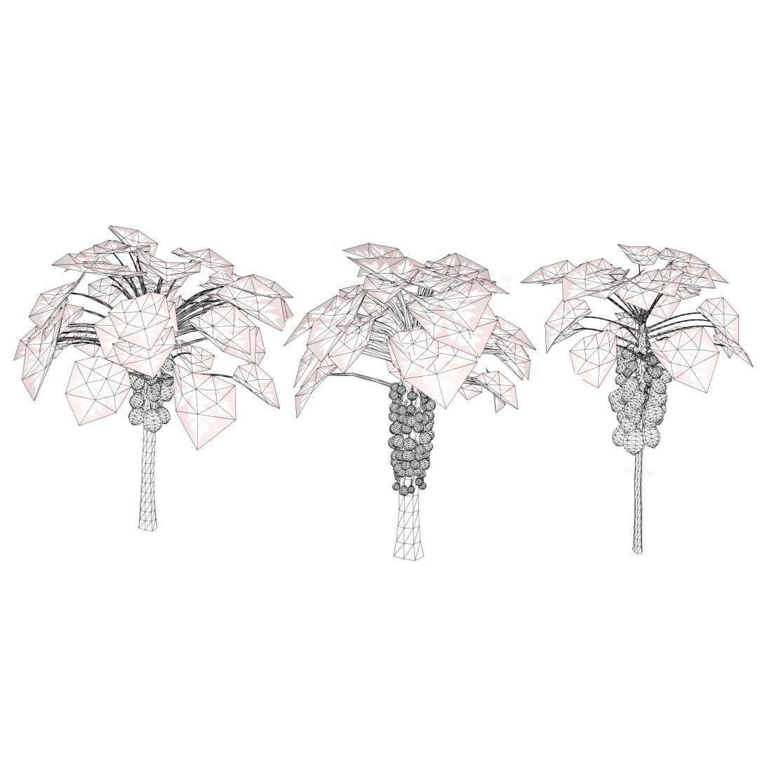 Papaya Tree 3d Model - 3D Model for VRay, Corona