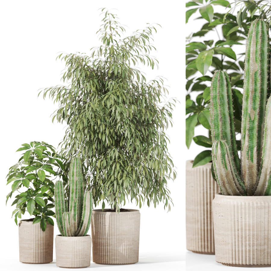 Plants Collection 1103 3D Model for VRay, Corona | CGMood