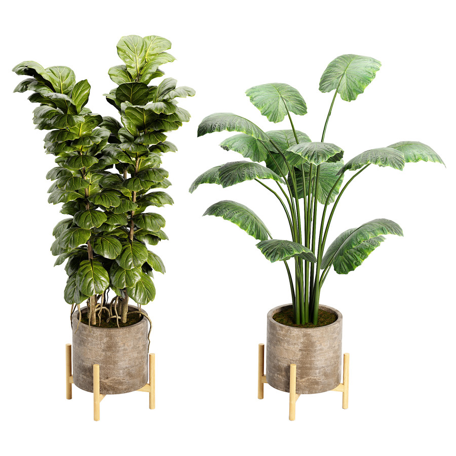 Indoor Plent_09 - 3D Model for Corona
