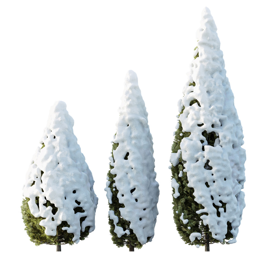 Av Plants Rocky Mountain Juniper Winter Snow - 3D Model for VRay, Corona