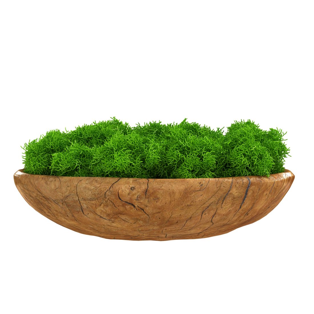 Wood Bowl With Moss 3D Model for VRay | CGMood