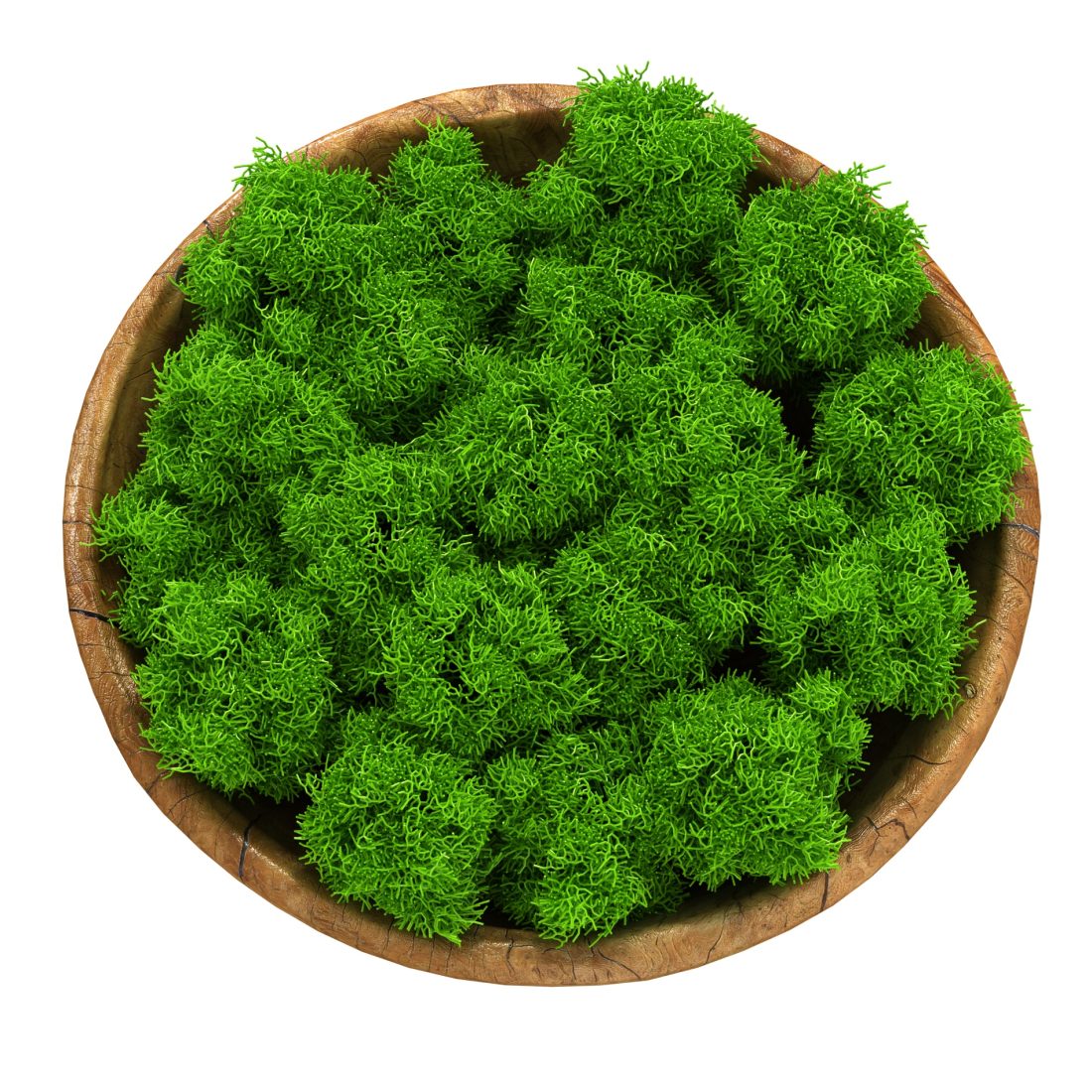 Wood Bowl With Moss 3D Model for VRay | CGMood