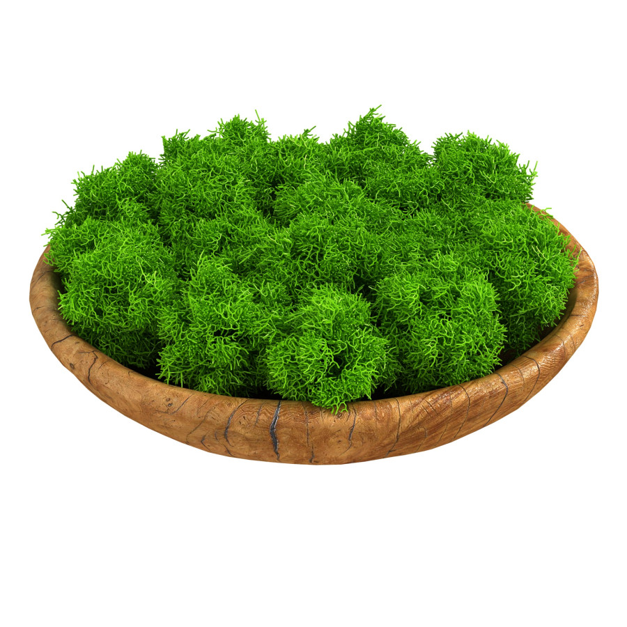 Wood Bowl With Moss 3D Model for VRay | CGMood
