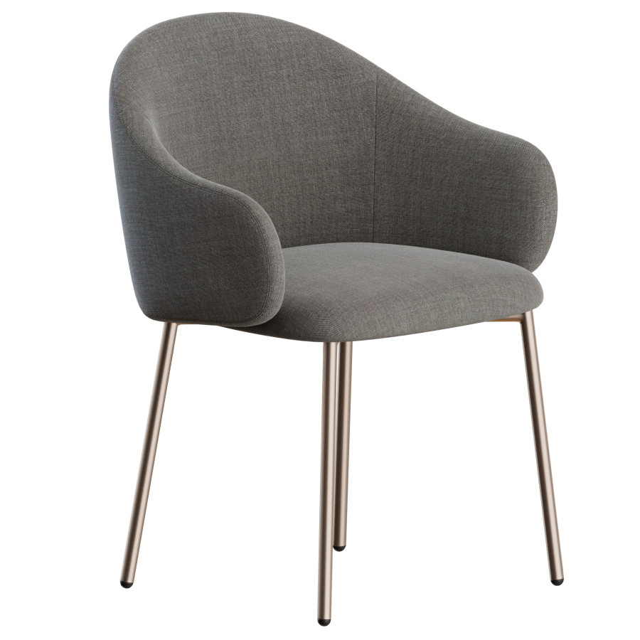 Holly Fab Chair Metal By Calligaris 3D Model for Corona | CGMood