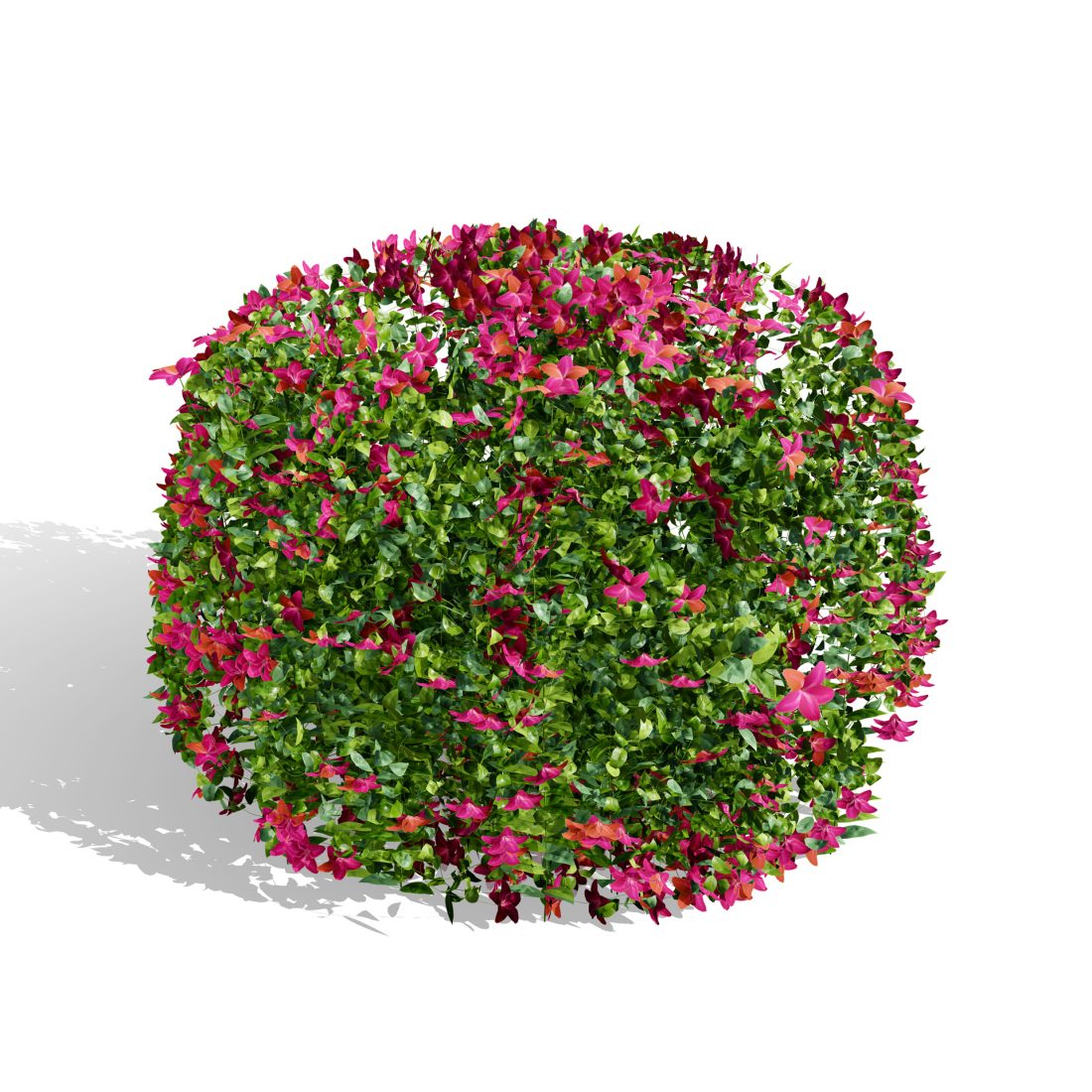 Vinca Minor Ground Cover 3d Model Pack - 3D Model for VRay, Corona