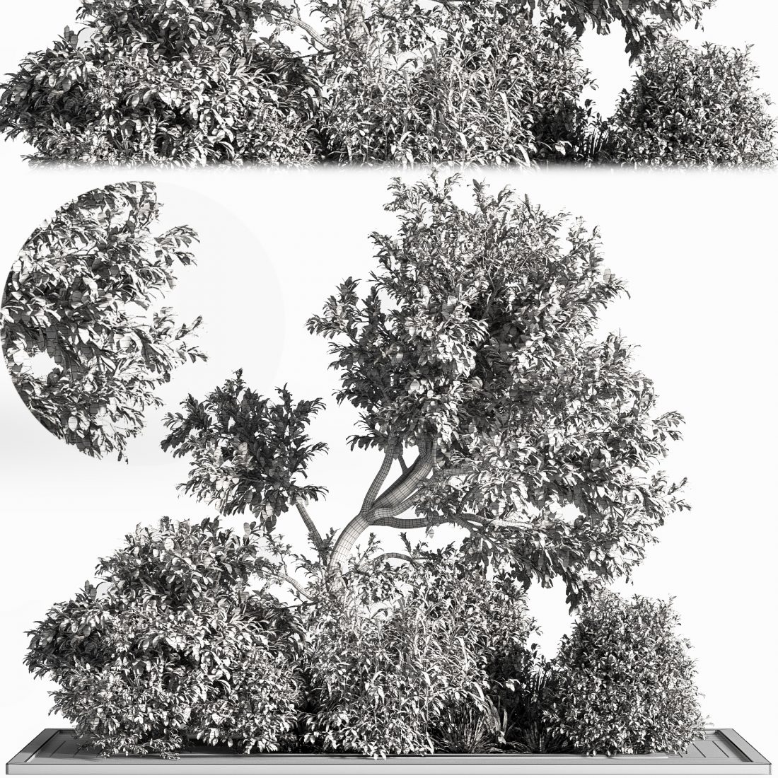 Garden_set_bush_and_tree_set07 - 3D Model for VRay, Corona