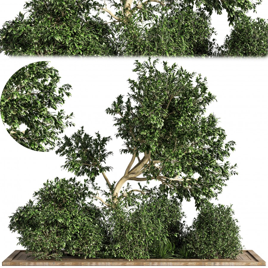 Garden_set_bush_and_tree_set07 - 3D Model for VRay, Corona