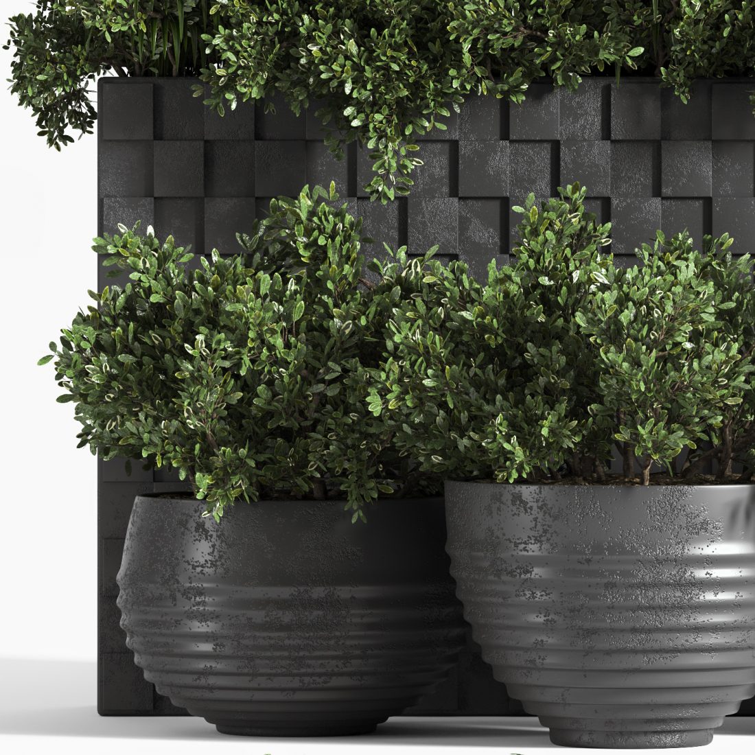 Outdoor Plant Collection Box - 3D Model for VRay