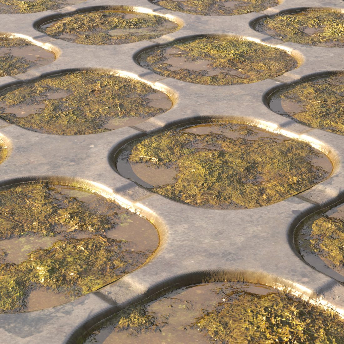 Mossy Tiled Ground - 3D Model for VRay, Corona