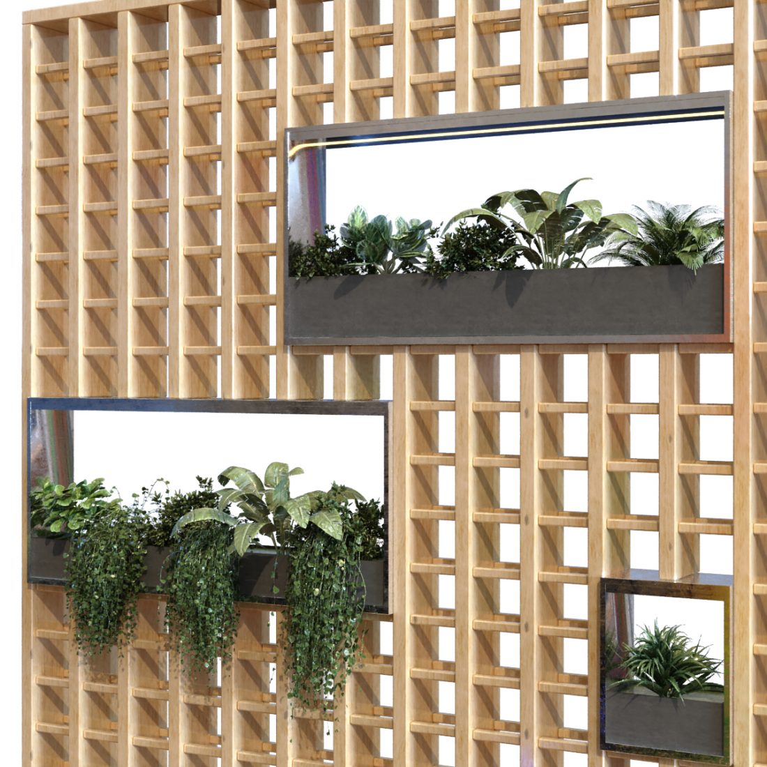 Partition Plant In Box Set 042 - 3D Model for VRay, Corona