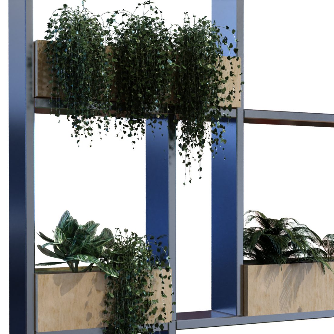 Partition Plant In Box Set 043 3D Model for VRay, Corona | CGMood