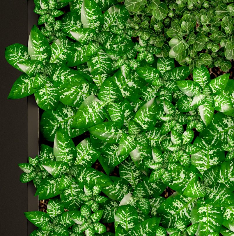 Vertical Garden, Phytowall, Phytomodl, Landscaping - 3D Model for VRay