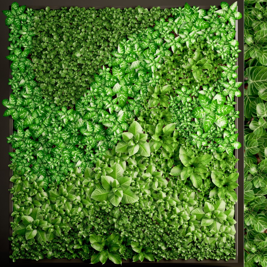 Vertical Garden, Phytowall, Phytomodl, Landscaping - 3D Model for VRay