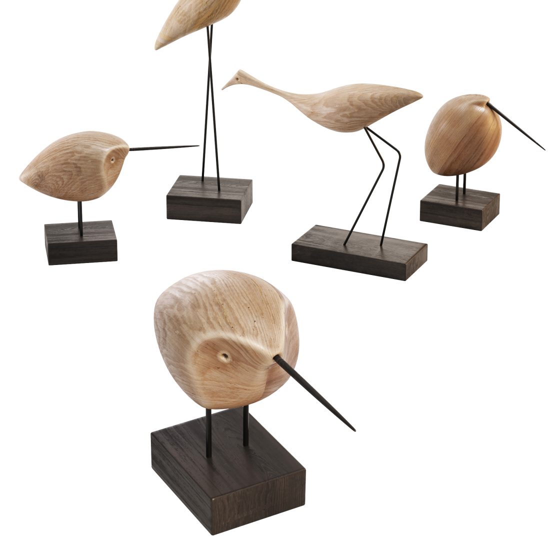 Beak Bird Teak - 3D Model for Corona