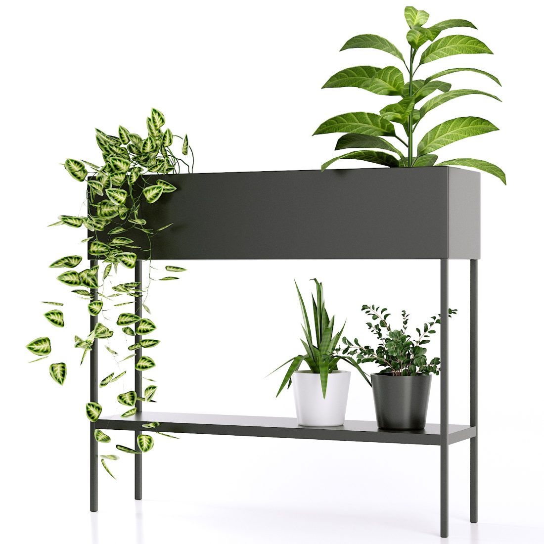 Console Consuela For Flowers | La Redoute - 3D Model for VRay, Corona