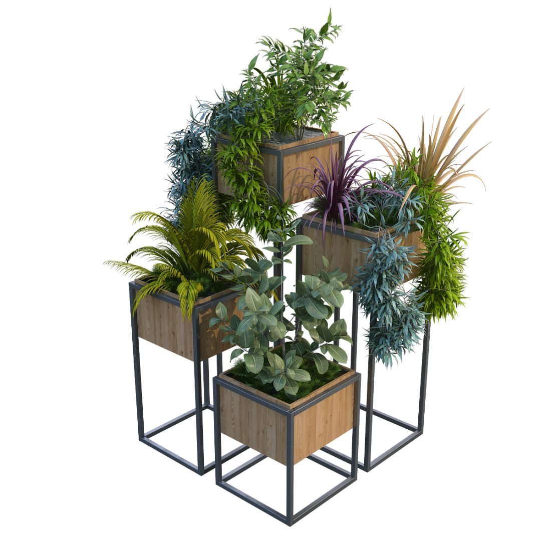 Plant In Box 190 3D Model for VRay, Corona | CGMood