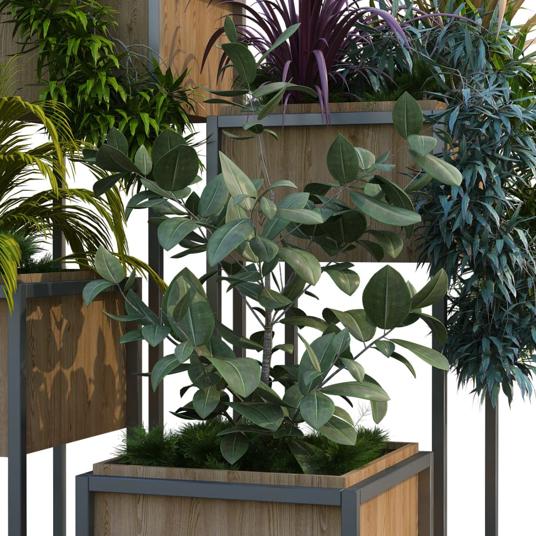 Plant In Box 190 3D Model for VRay, Corona | CGMood