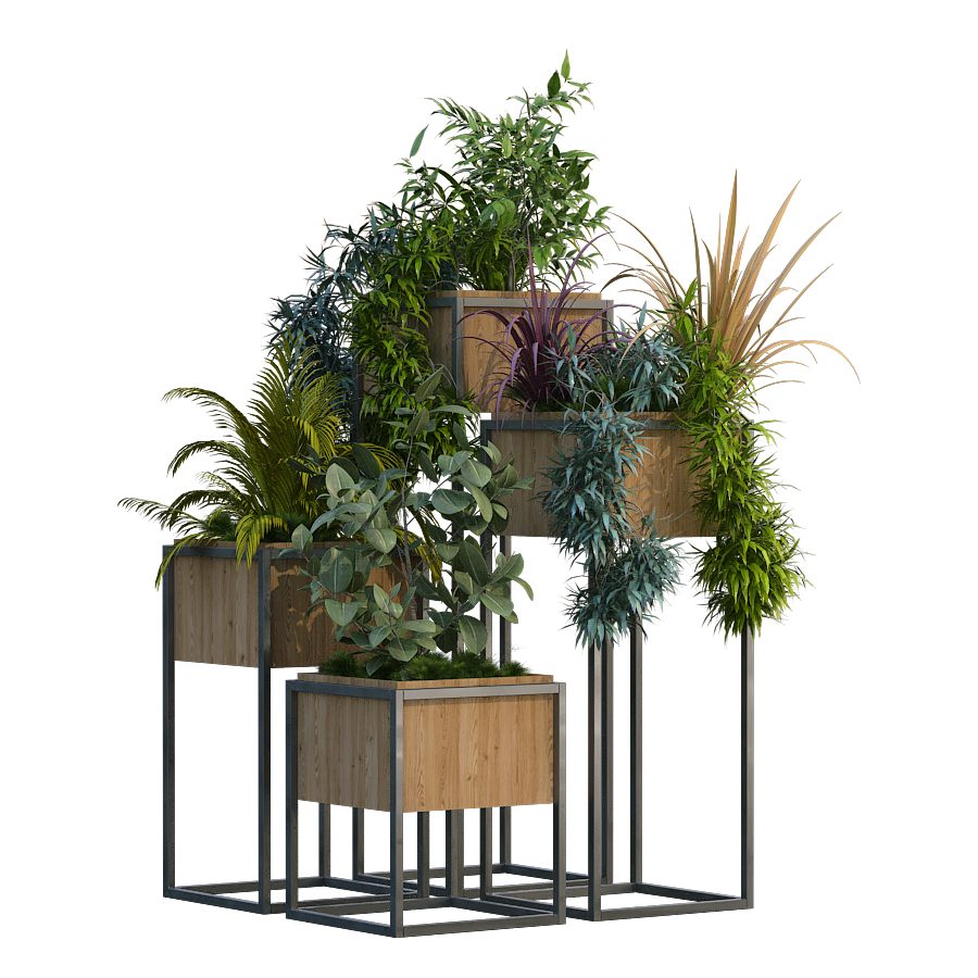 Plant In Box 190 3D Model for VRay, Corona | CGMood