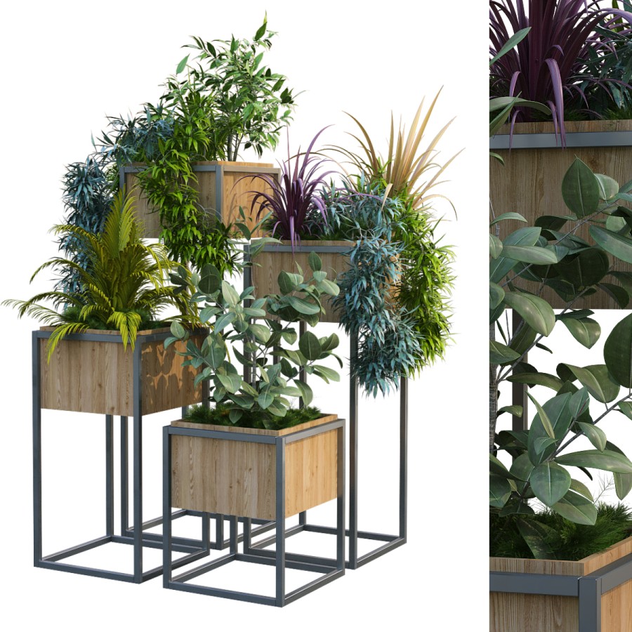 Plant In Box 190 - 3D Model for VRay, Corona