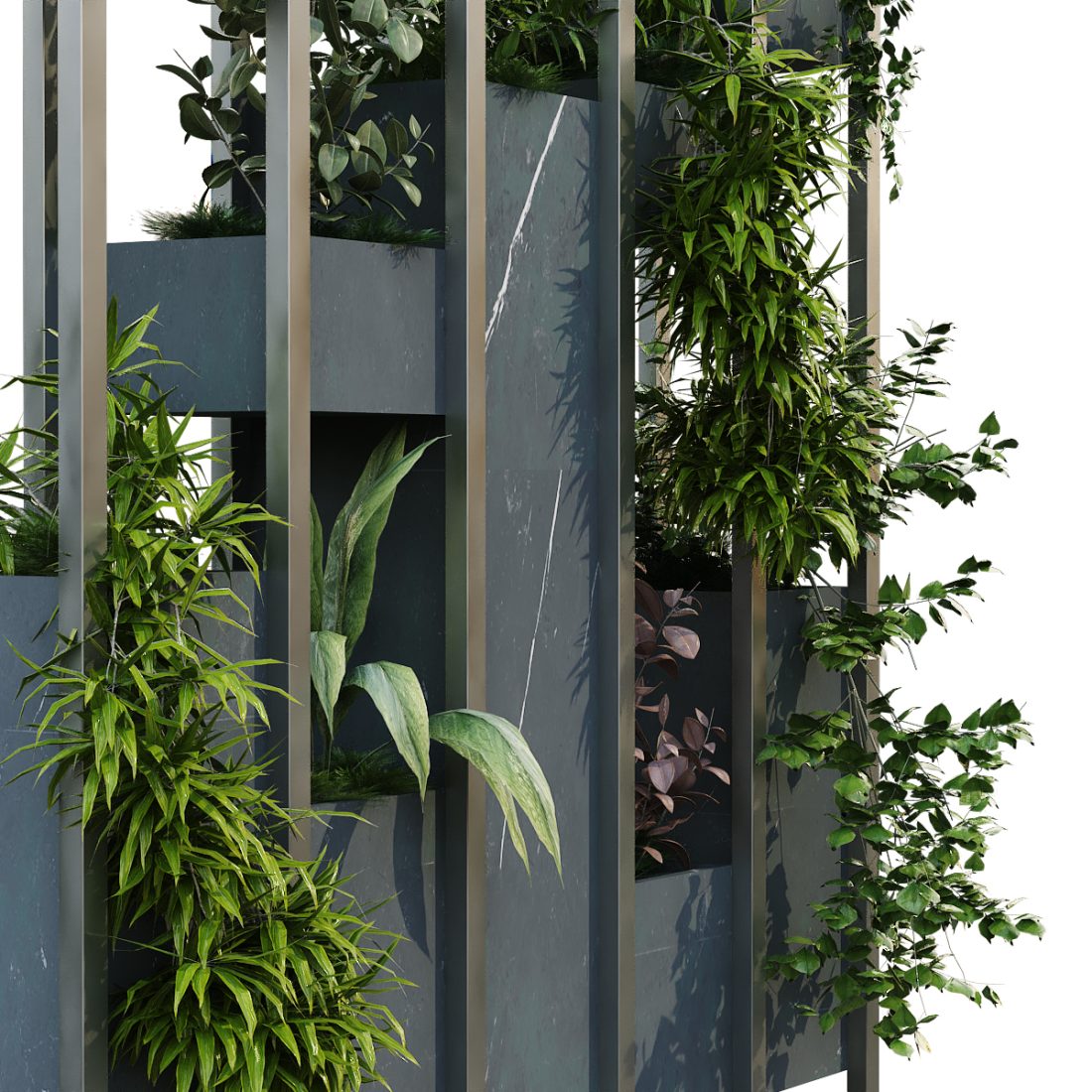 Vertical Plant Set 236 3D Model for VRay, Corona | CGMood