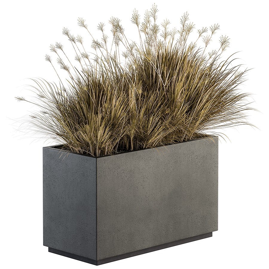 Outdoor Plant Set 217 - Green Grass In Plant Box - 3D Model for Corona ...