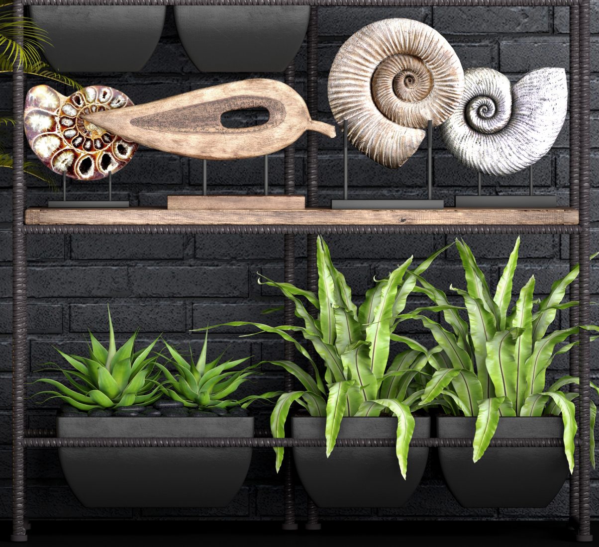 Decor Shelf, Rack, Horn, Palm Tree, Ammonite - 3D Model for VRay
