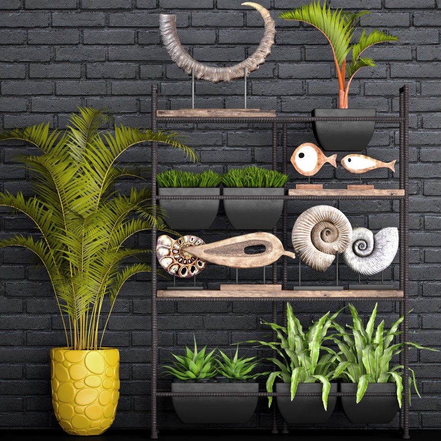 Decor Shelf, Rack, Horn, Palm Tree, Ammonite - 3D Model for VRay