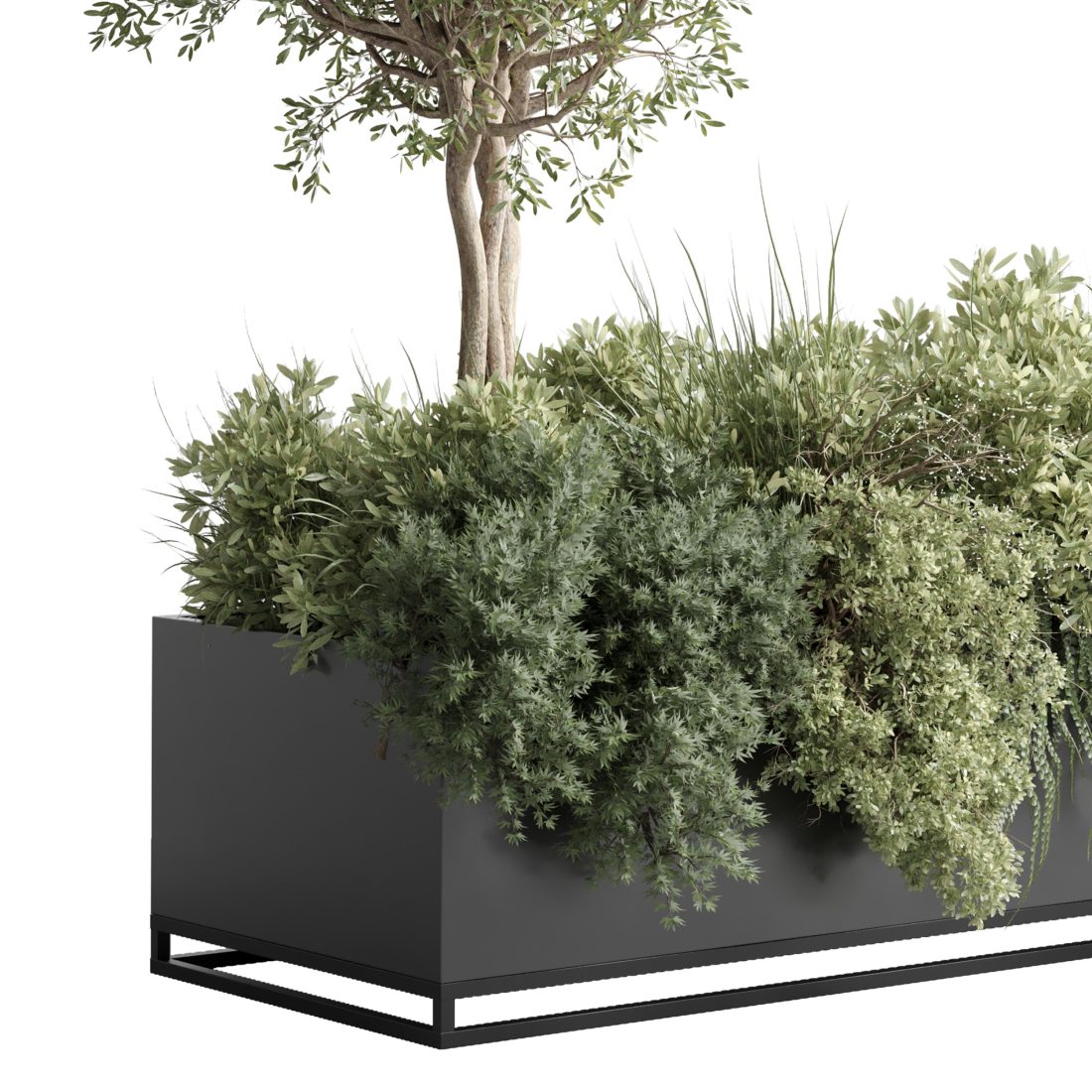 Box Plants On Stand 222 Collection Of Houseplant - 3D Model for Corona ...