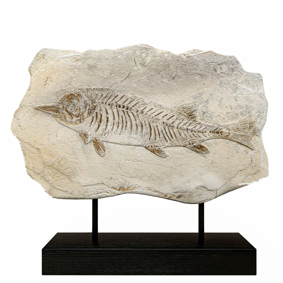 Fossil, Figurine, Fish, Decor - 3D Model for VRay