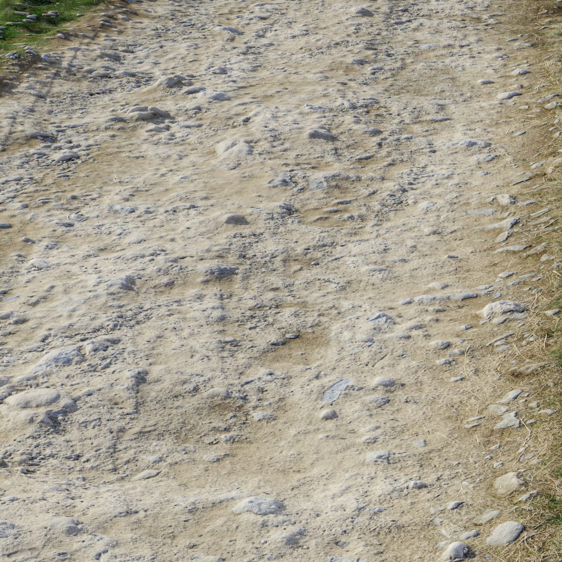 Road | 3d Scan - 3D Model for Corona