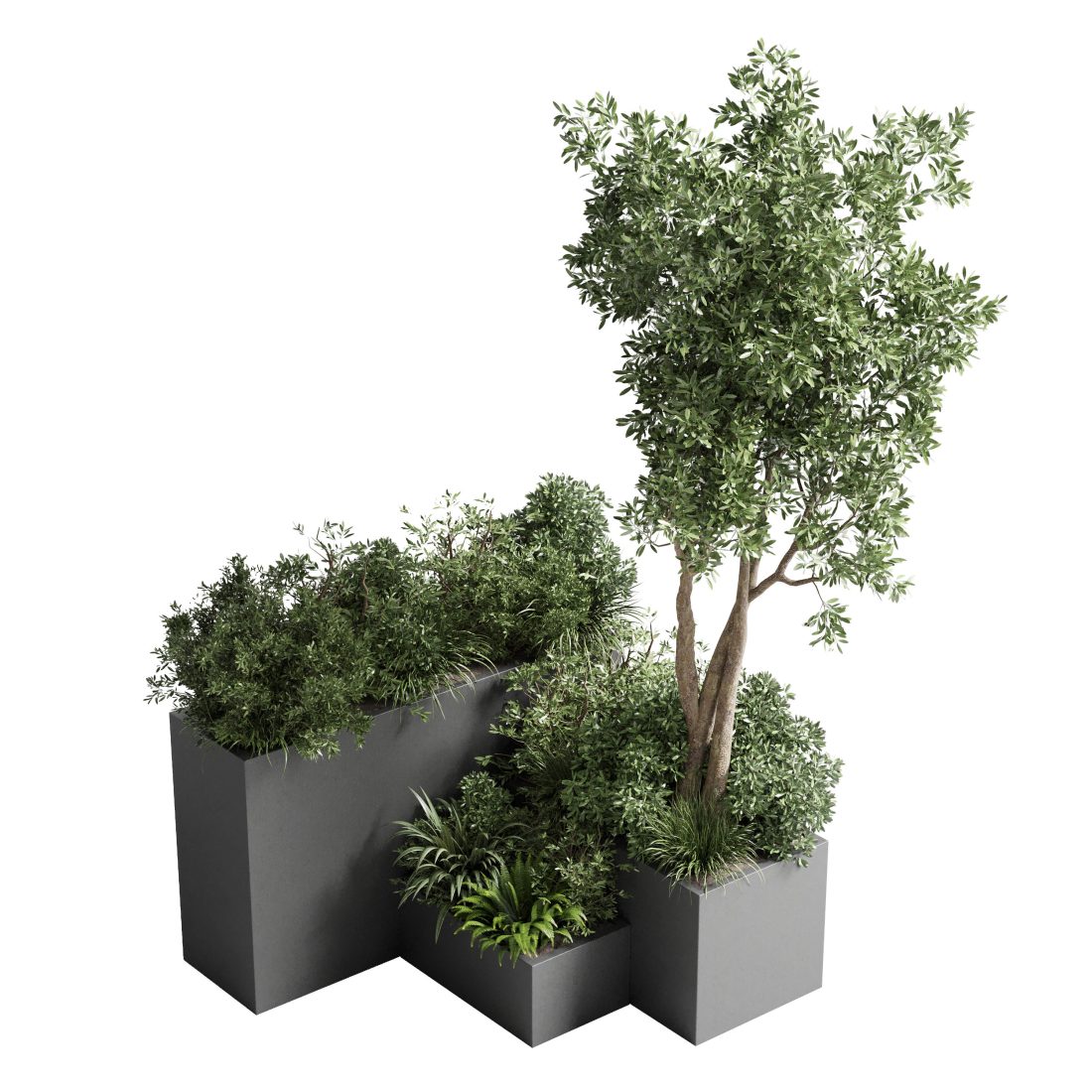 Stand Box Plant - Collection Outdoor Plant 80 - 3D Model for VRay, Corona