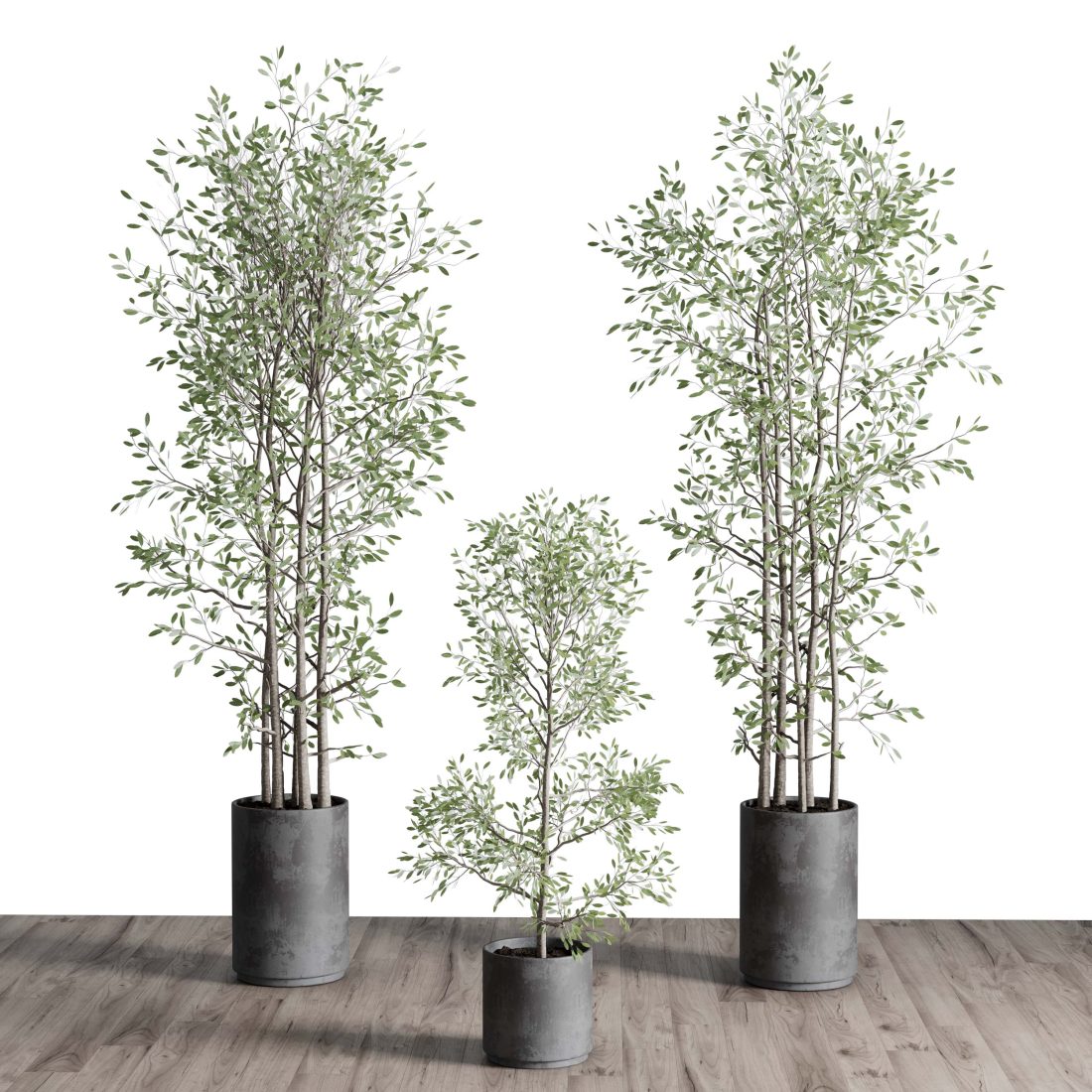 Indoor Plant Set 375 Plant Tree Branch Bush Concre - 3D Model for ...