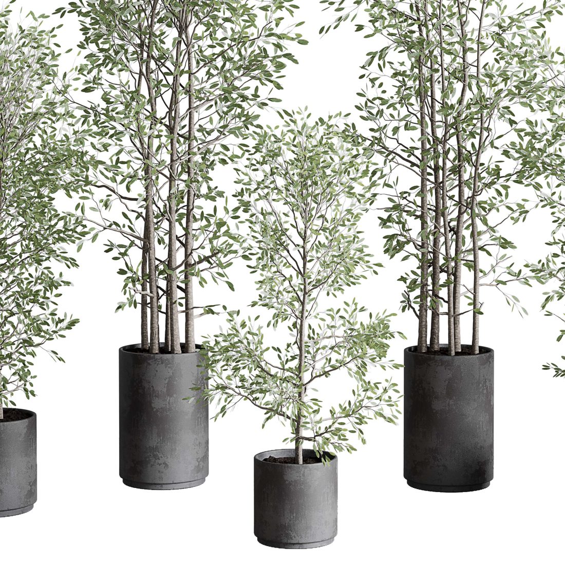 Indoor Plant Set 375 Plant Tree Branch Bush Concre - 3D Model for ...