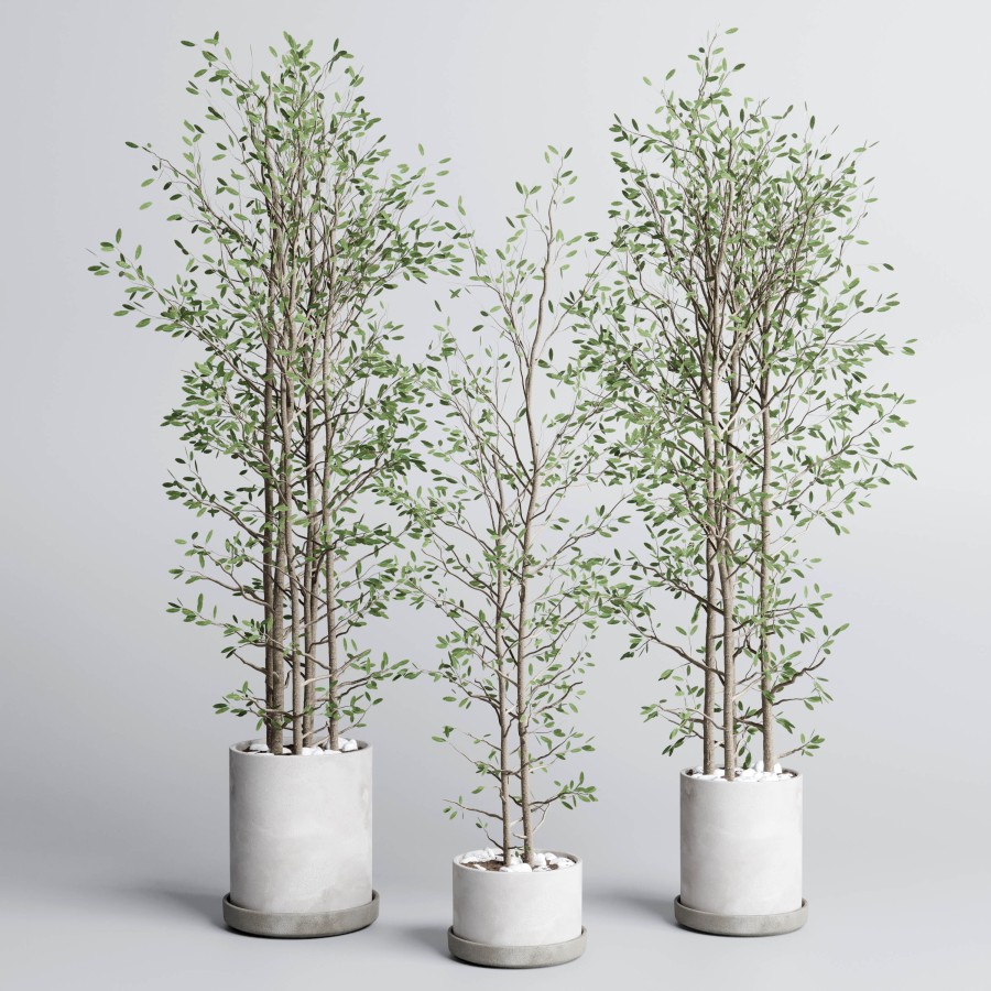 Indoor Plant Set 379 Plant Tree Branch Bush Concre - 3D Model for ...