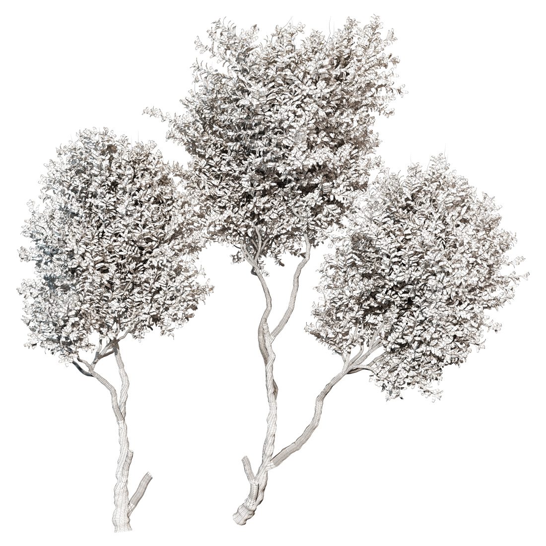 Tree_vol_10 3D Model for VRay, Corona | CGMood