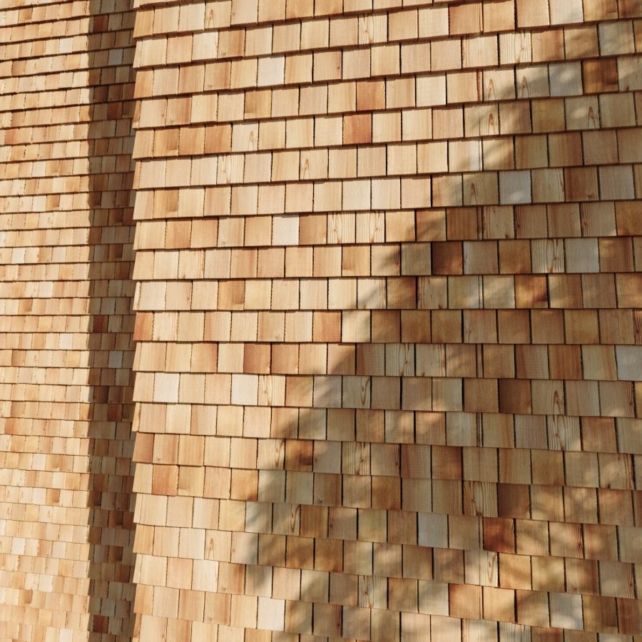 Wood Shingles - 3D Model for Corona