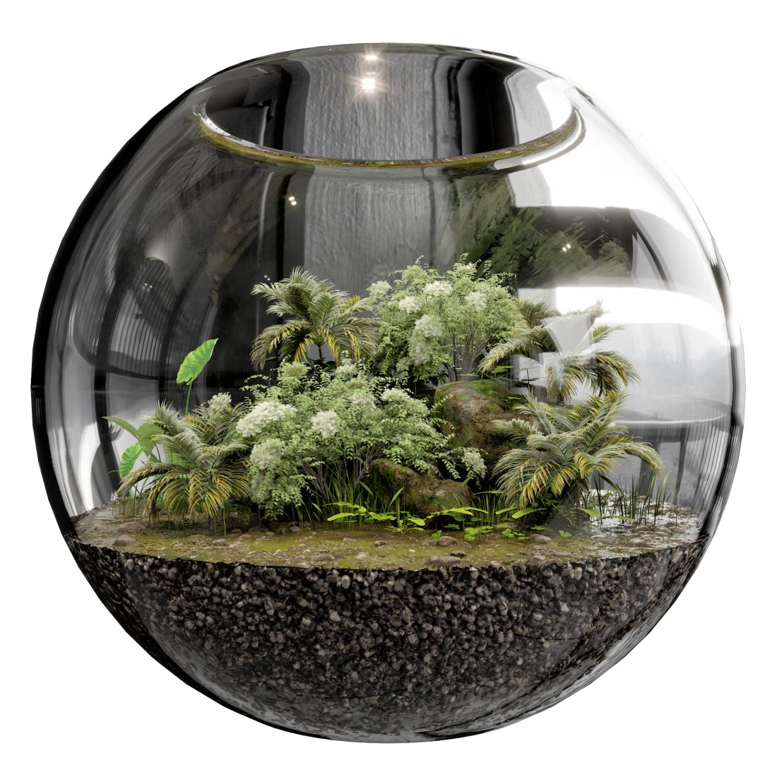 Terrarium Plants Collection No4 3D Model for VRay, Corona | CGMood
