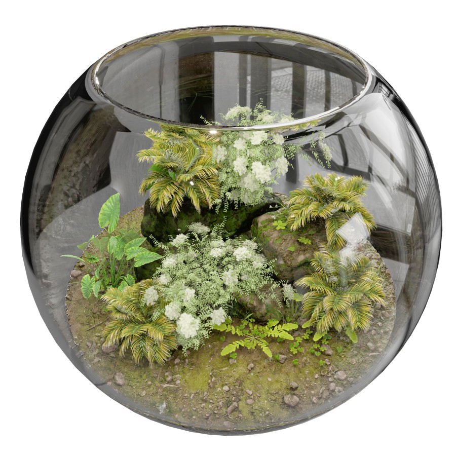 Terrarium Plants Collection No4 3D Model for VRay, Corona | CGMood