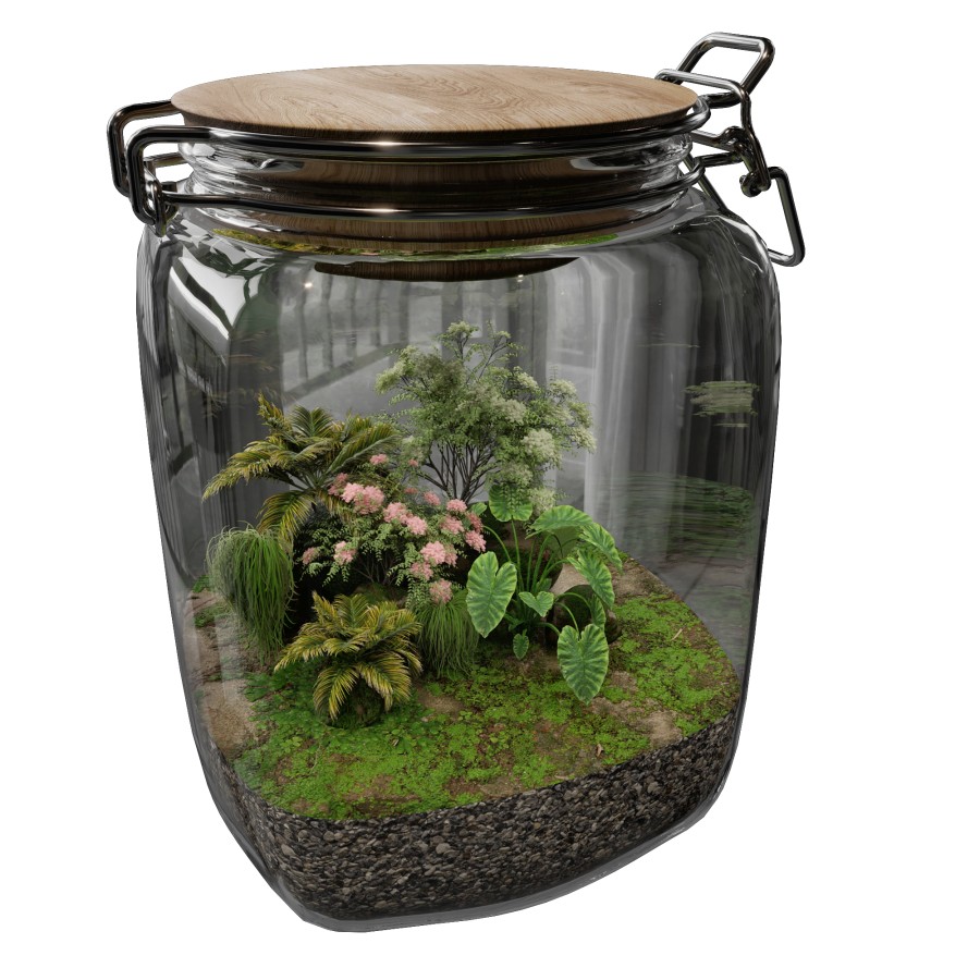 Terrarium Plants Collection No5 3D Model for VRay, Corona | CGMood