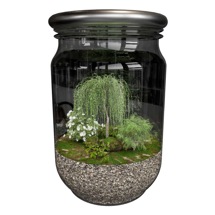 Terrarium Plants Collection No6 - 3D Model for VRay, Corona