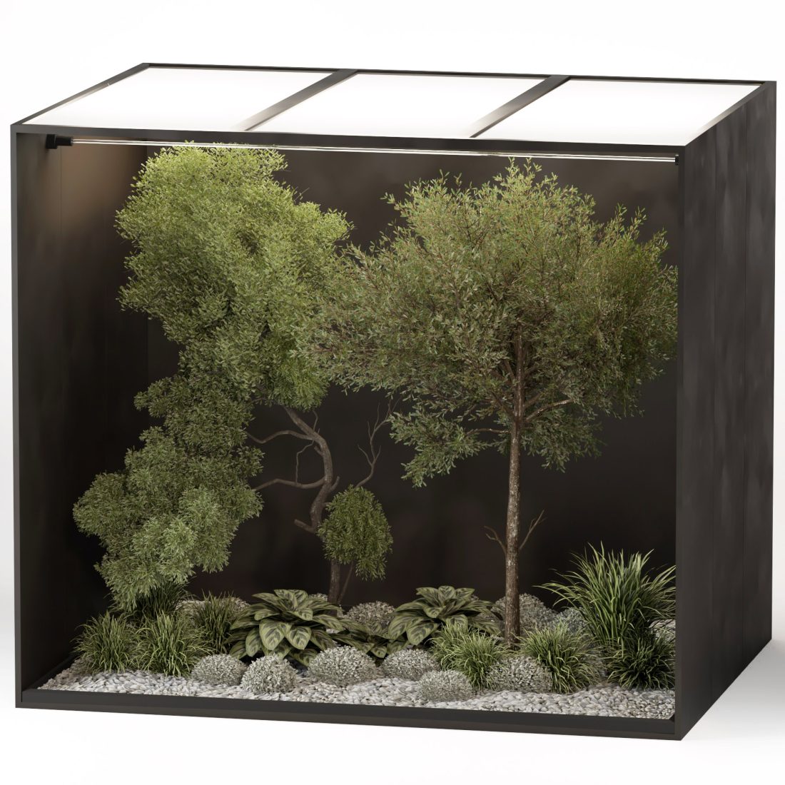 Outdoor Garden Tree Plant011 Collection - 3D Model for VRay