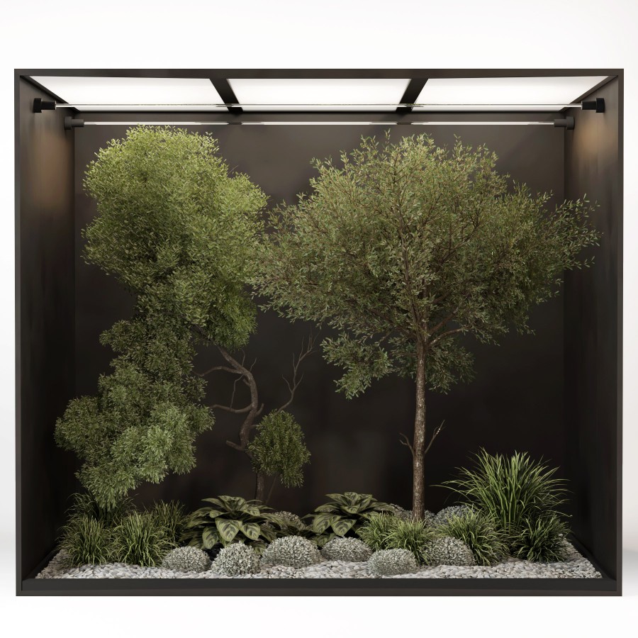 Outdoor Garden Tree Plant011 Collection - 3D Model for VRay