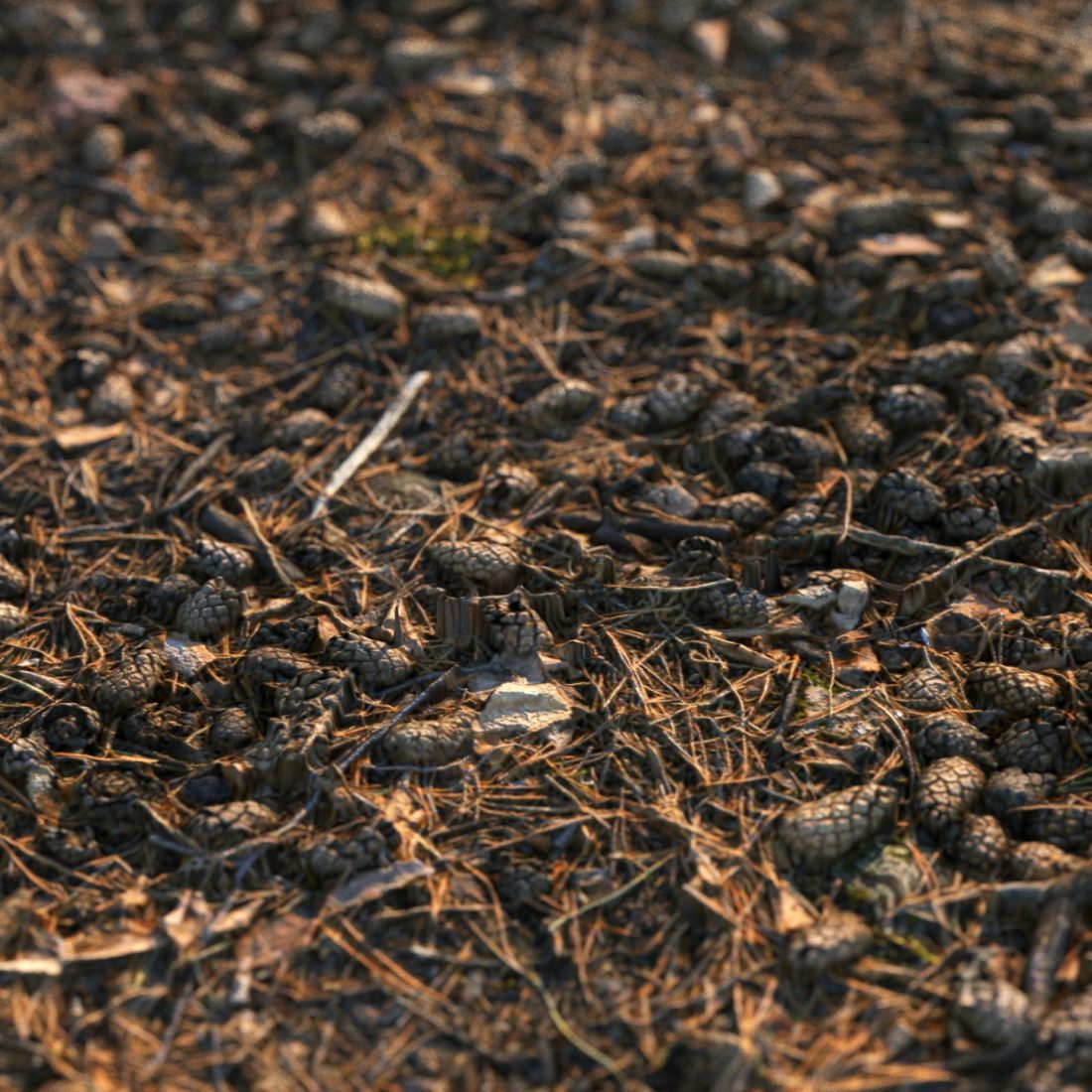 Pine Undergrowth Material 01 - 3D Model for VRay, Corona